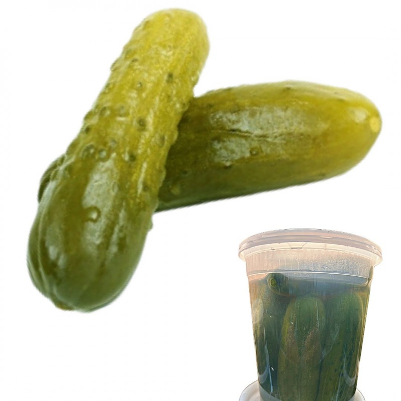 HALF SOUR PICKLES